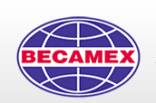 BCM: Tải về tài liệu BCTC - Tập đoàn Đầu tư và Phát triển công nghiệp ...