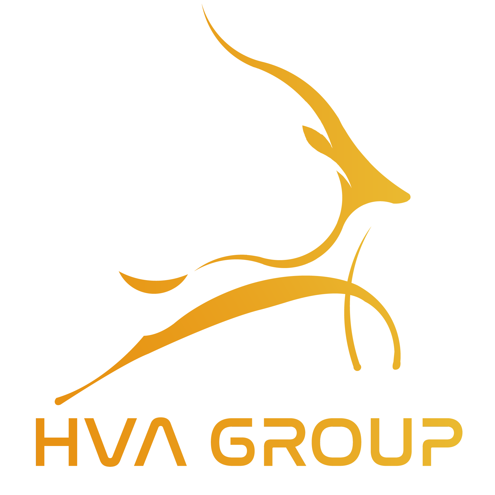 HVA: Công ty cổ phần Đầu tư HVA (UPCOM)