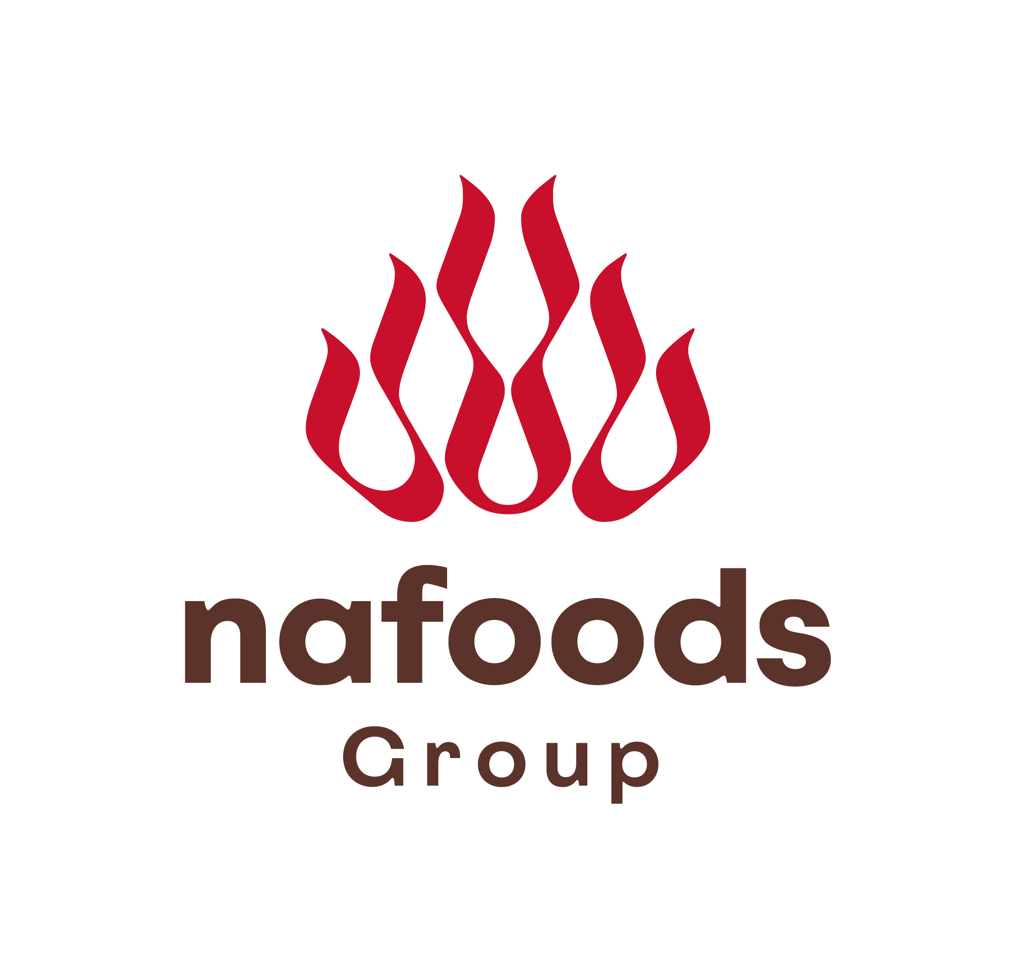 NAF: Tài chính - Công ty Cổ phần Nafoods Group
