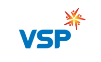 VSP: Tài chính - Công ty cổ phần Vận tải biển và Bất động sản Việt Hải